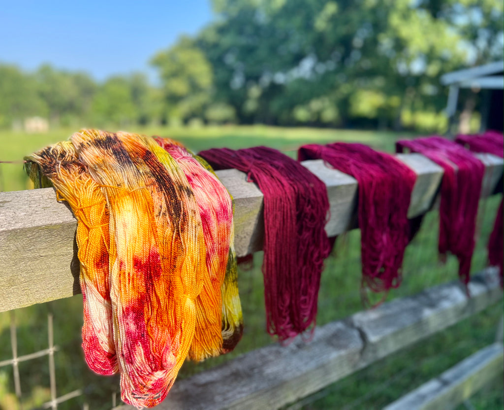 Coleus Colorway – Dancing Leaf Farm