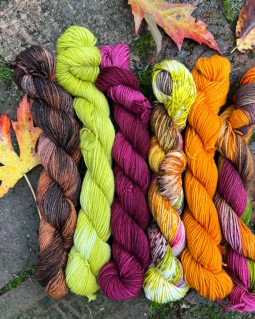 Happy Camper Fall Shawl Pattern – Dancing Leaf Farm